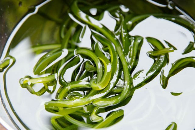 Kelp Salad – China Sichuan Food