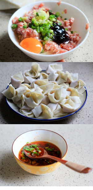 Red Oil Wonton – China Sichuan Food