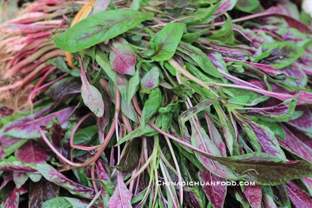 An Introduction to Chinese Vegetables: Leafy Green – China Sichuan Food