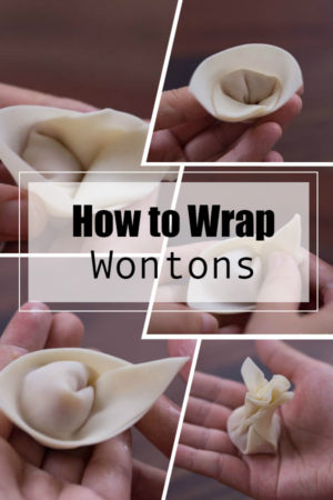How to Fold Wontons – My Favorite 6 Ways – China Sichuan Food