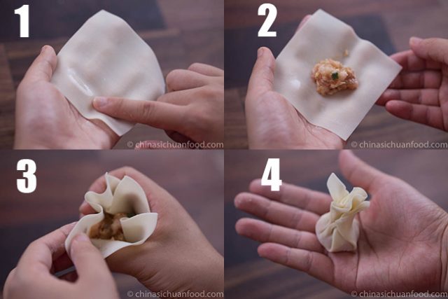 How to Fold Wontons – My Favorite 6 Ways – China Sichuan Food