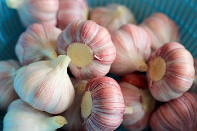 Pickled Garlic (Chinese Sugar Garlic) – China Sichuan Food