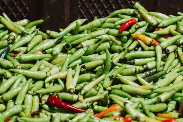 An Introduction to Chinese Vegetables: Allium, Aromatics and Peppers ...